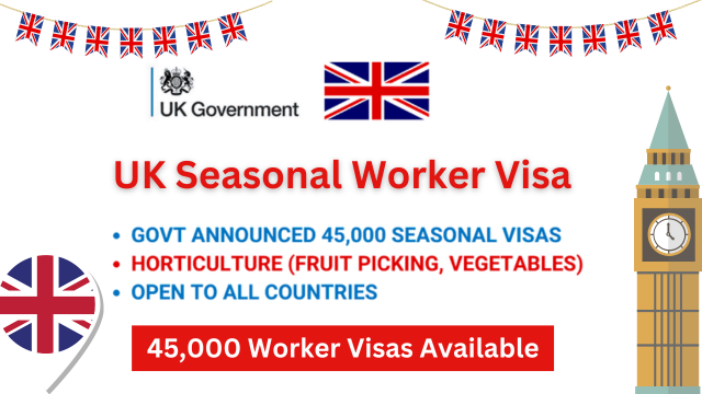 UK Seasonal Visa 2024 | Temporary Work Visa